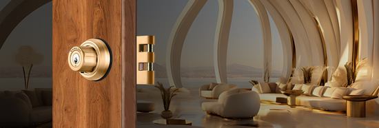 Twist to Lock storefront door lock keyless with unpickable Night Latch ...